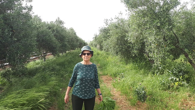 The Scottish Grove | Sindyanna of Galilee
