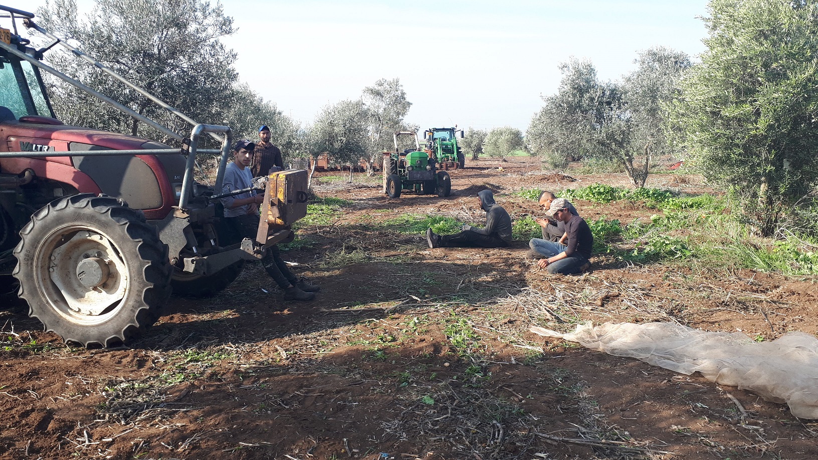 The Scottish Grove | Sindyanna of Galilee
