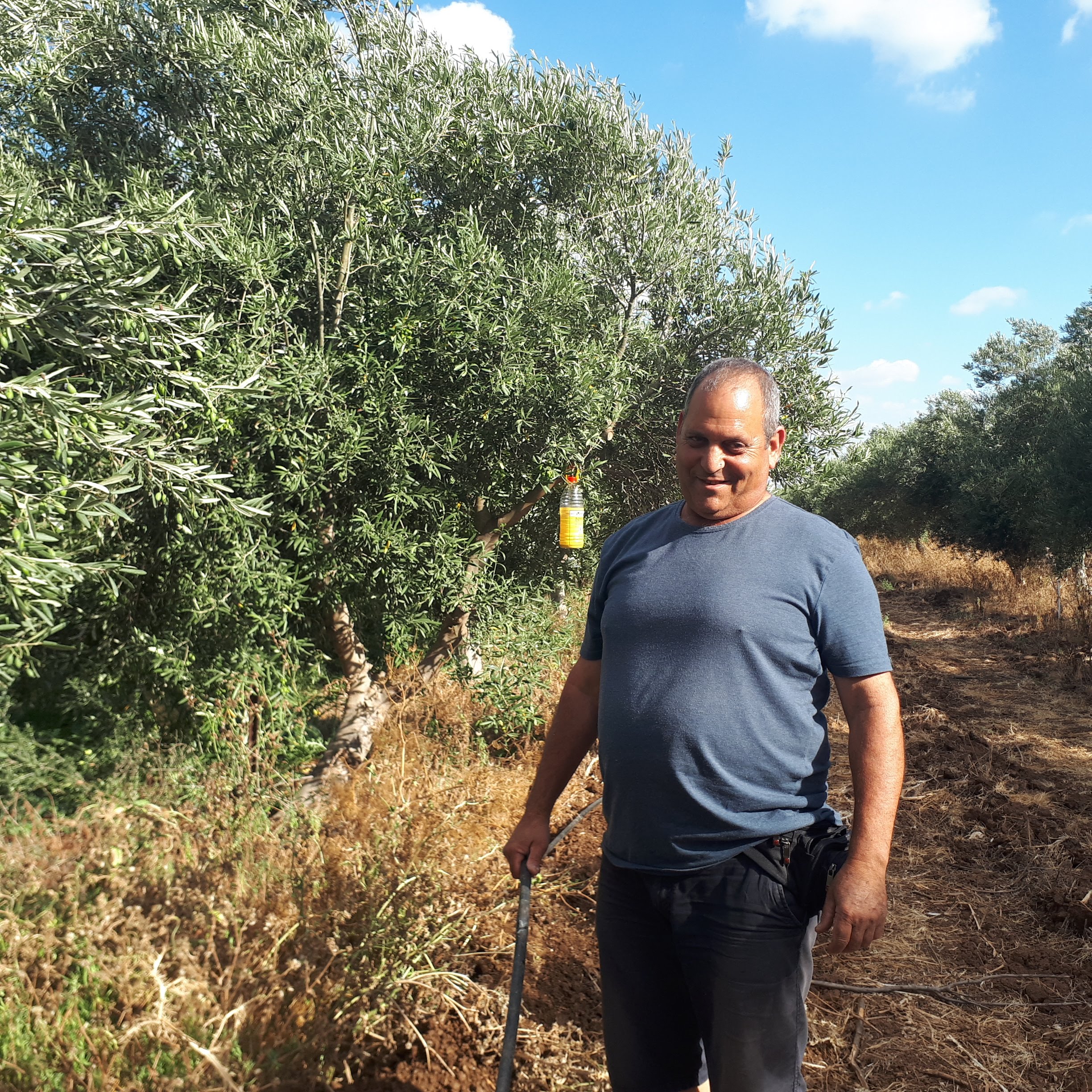 The Scottish Grove | Sindyanna of Galilee